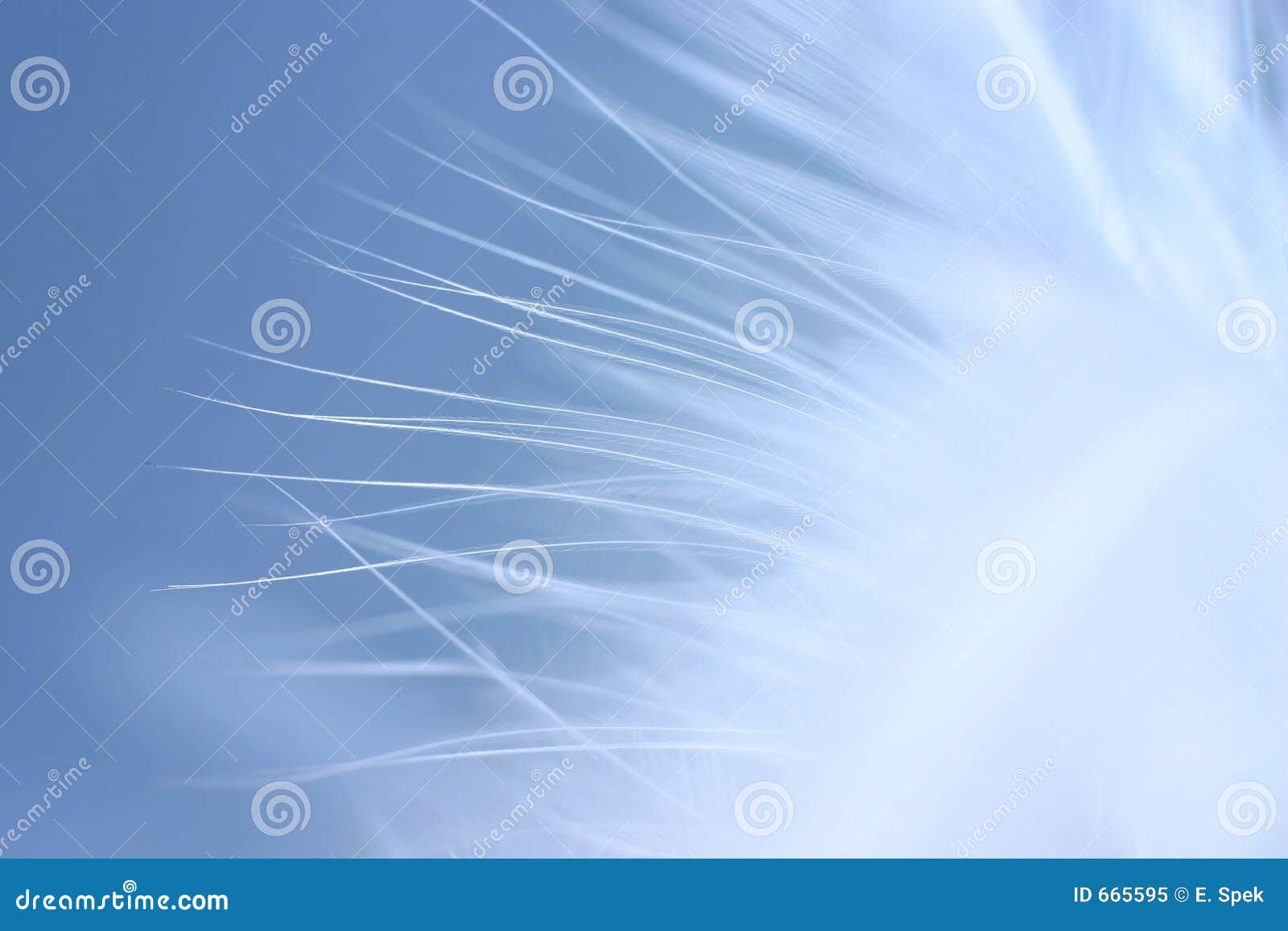 Softness stock image. Image of gentle, ethereal, feathers - 665595