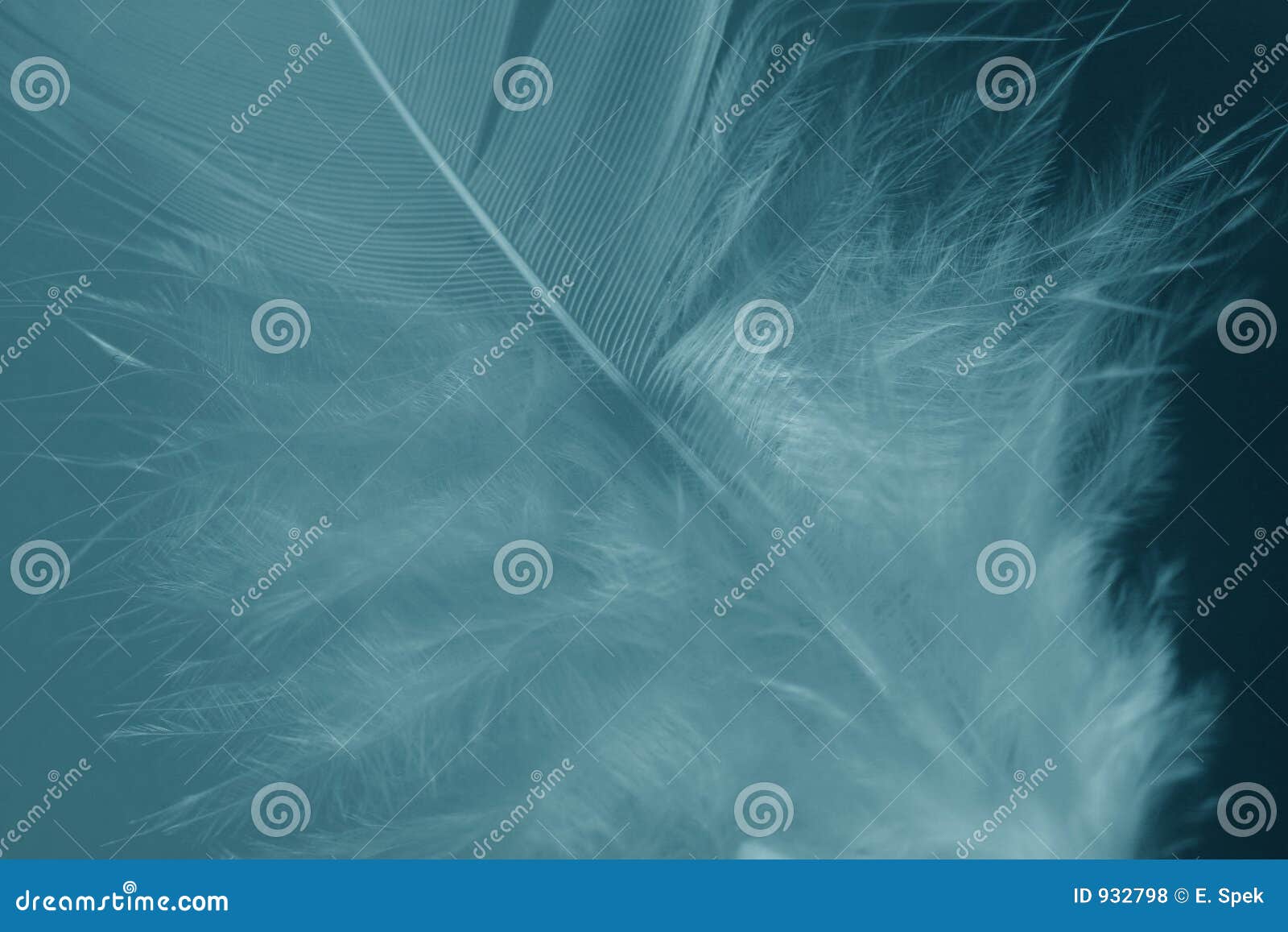 Softness stock photo. Image of fluffy, nature, hope, isolated - 932798