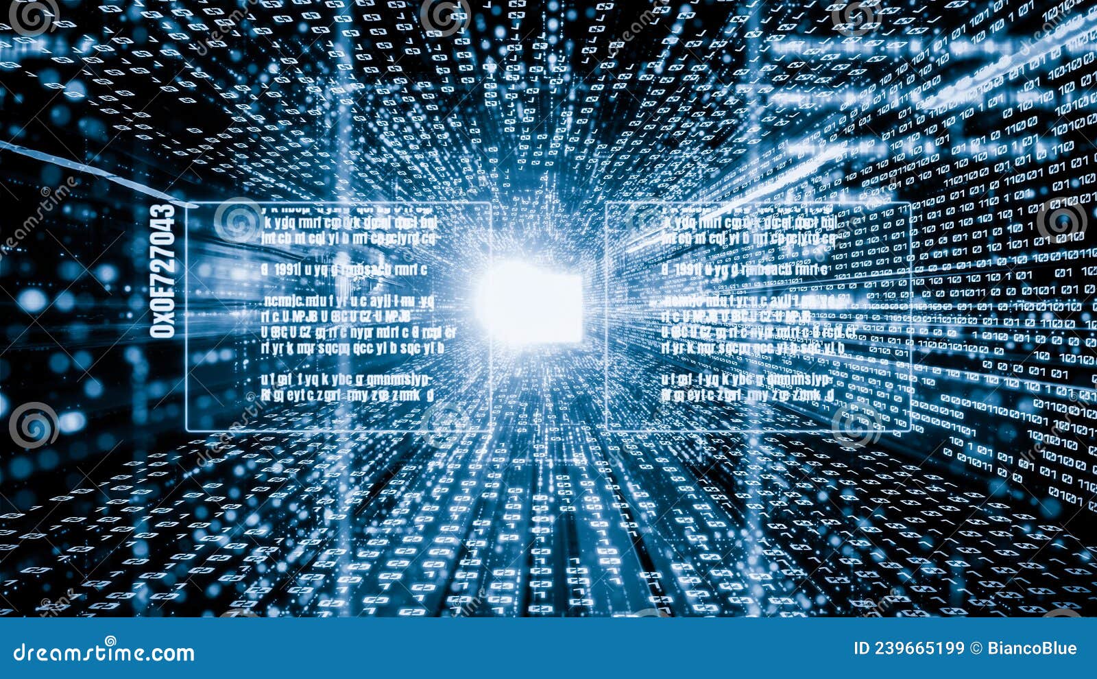 Software Development, Application Programming Code and Tacit Computer ...