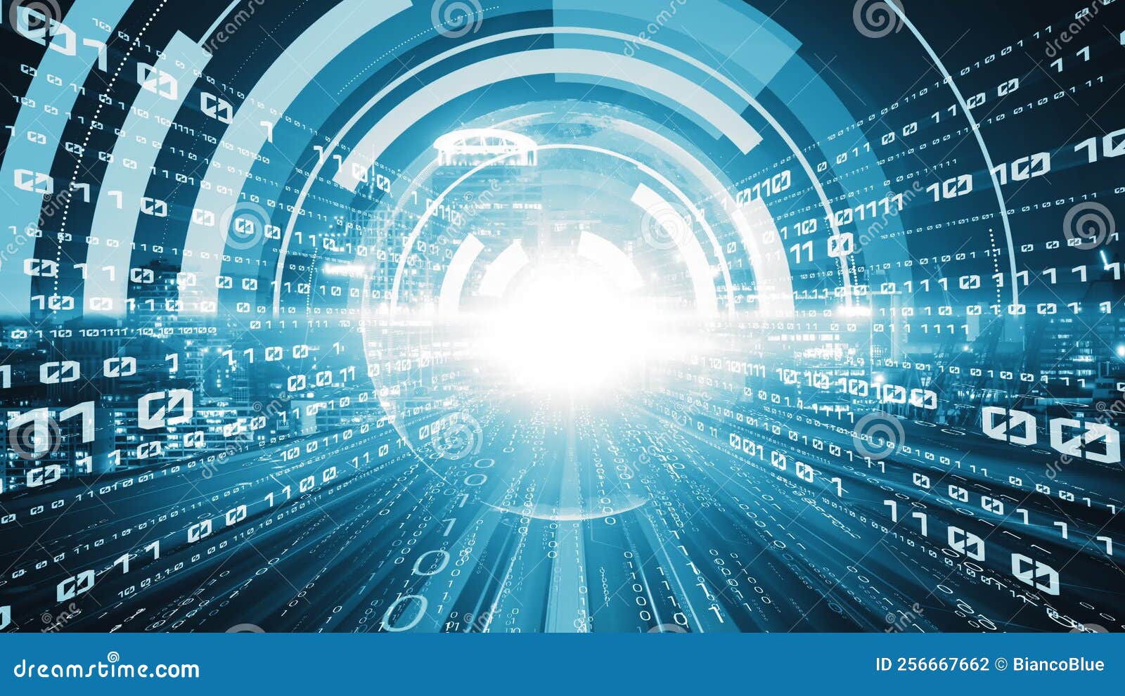 Software Development, Application Programming Code and Tacit Computer ...