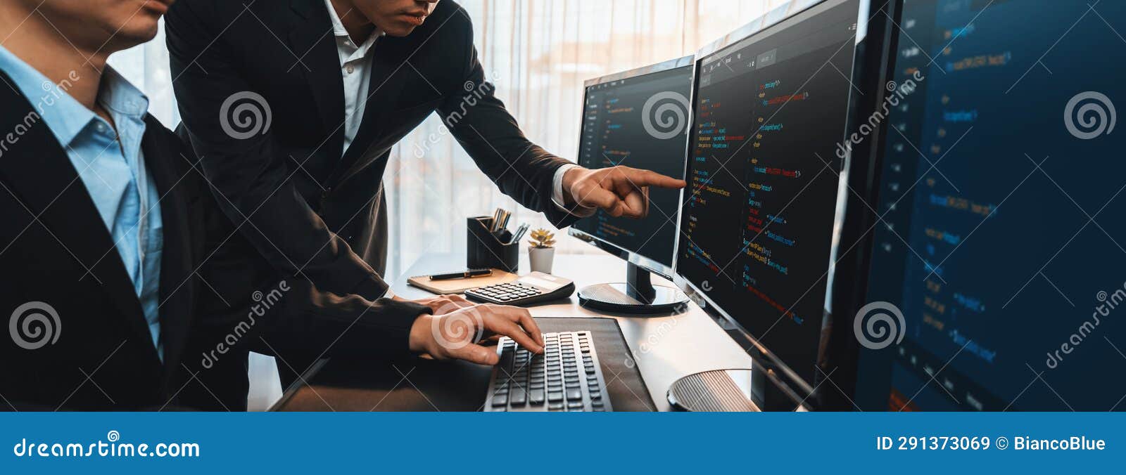 Programmer and Software Engineer Working in Tech Develop Company ...