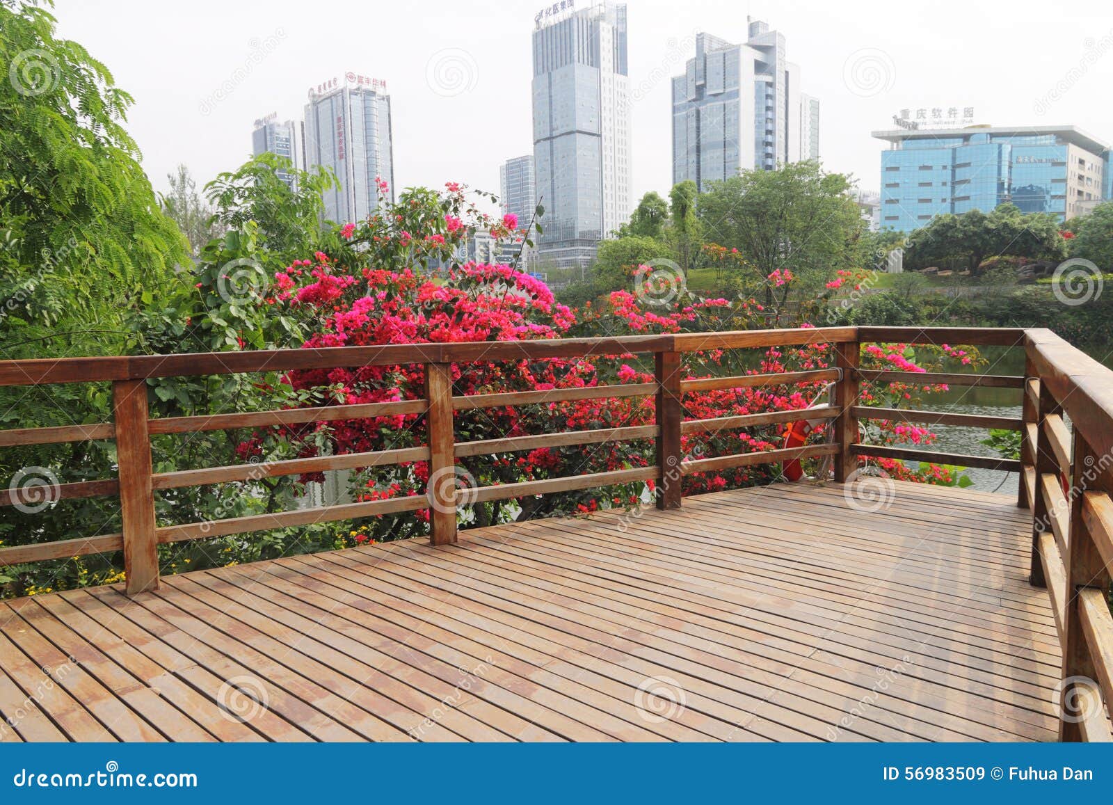 Software Park editorial stock image. Image of chongqing - 56983509