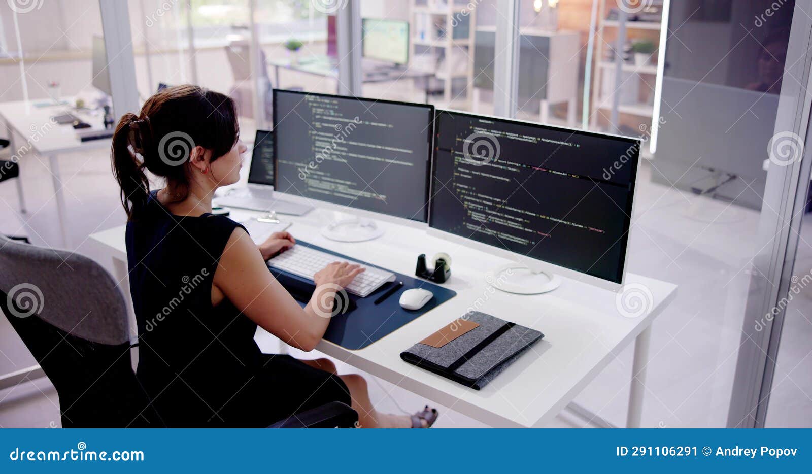 Software Programmer Or Coder Woman Stock Image Image Of Computer Woman 291106291 0553