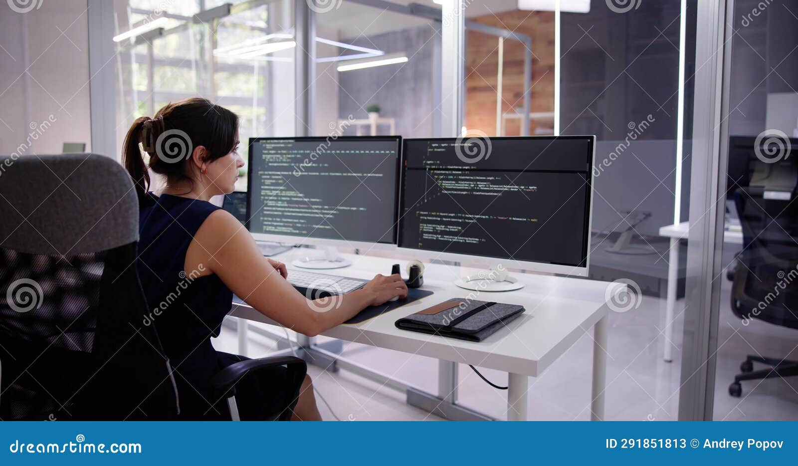 Software Programmer Or Coder Woman Stock Image Image Of Programme Program 291851813
