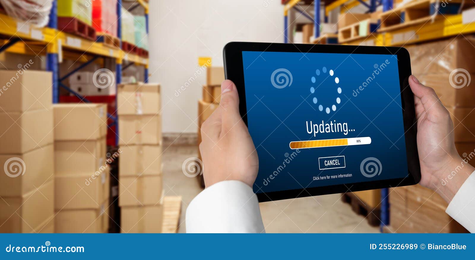 Software Update on Computer for Modish Version of Device Software Stock ...