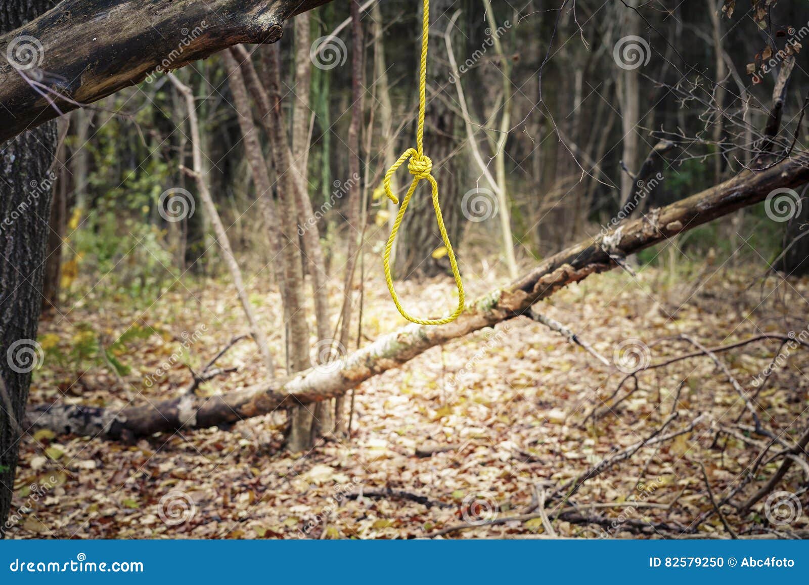 Soga De La Horca En El Bosque Oscuro Foto de archivo - Imagen de ...
