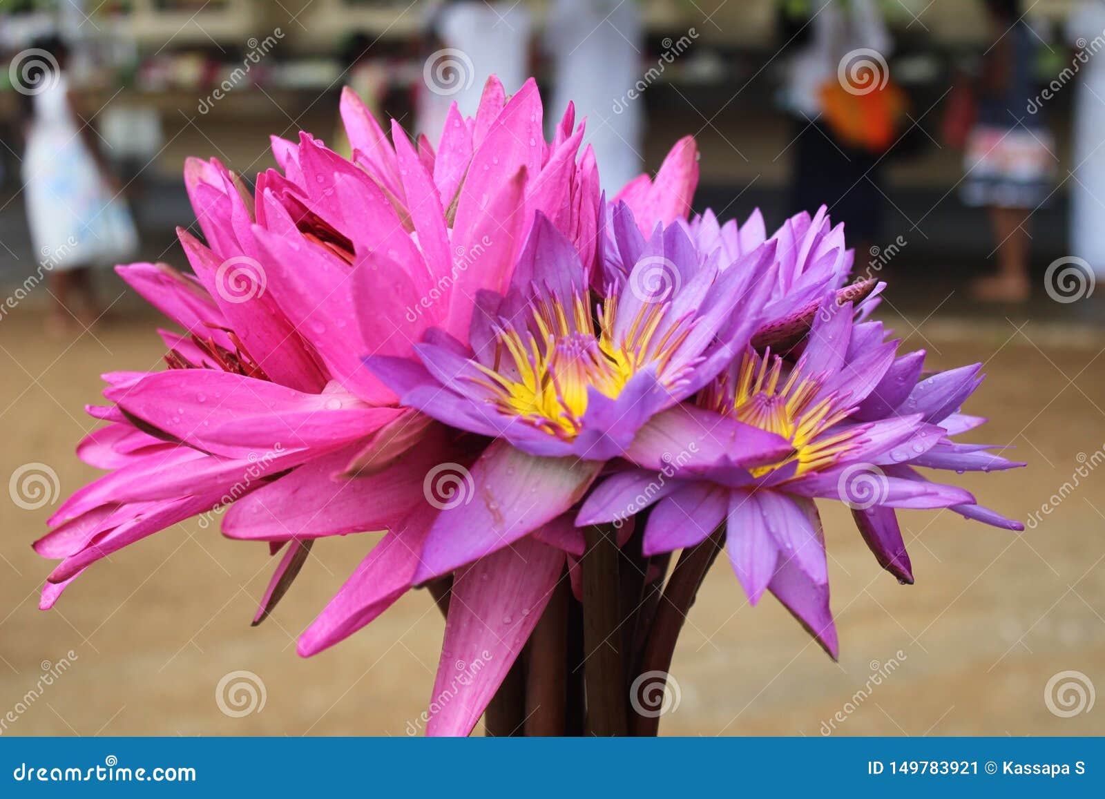 Natural Sohon Stock Photos - Free & Royalty-Free Stock Photos from ...
