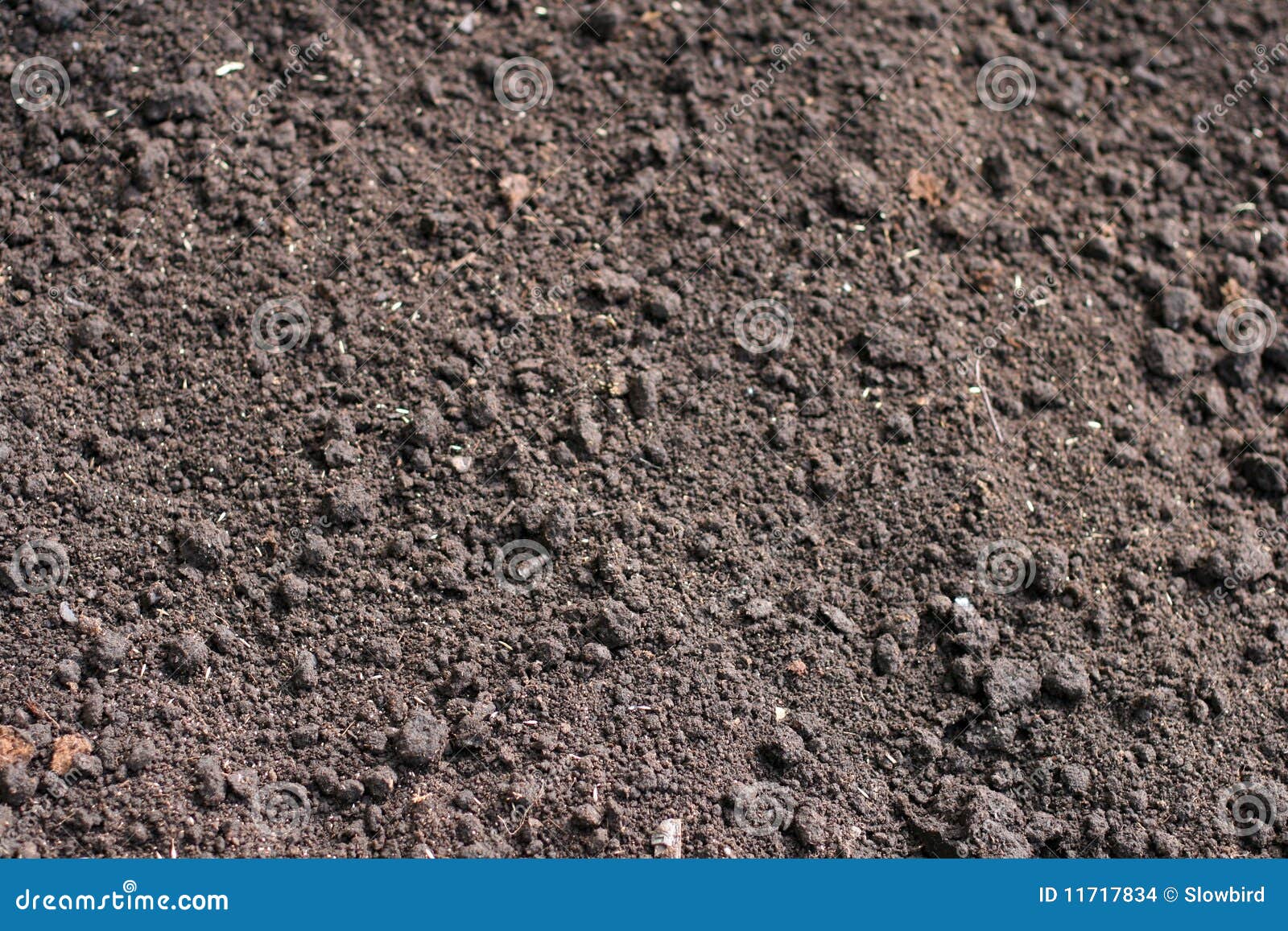 Soil stock photo. Image of grunge, rough, macro, environmental - 11717834