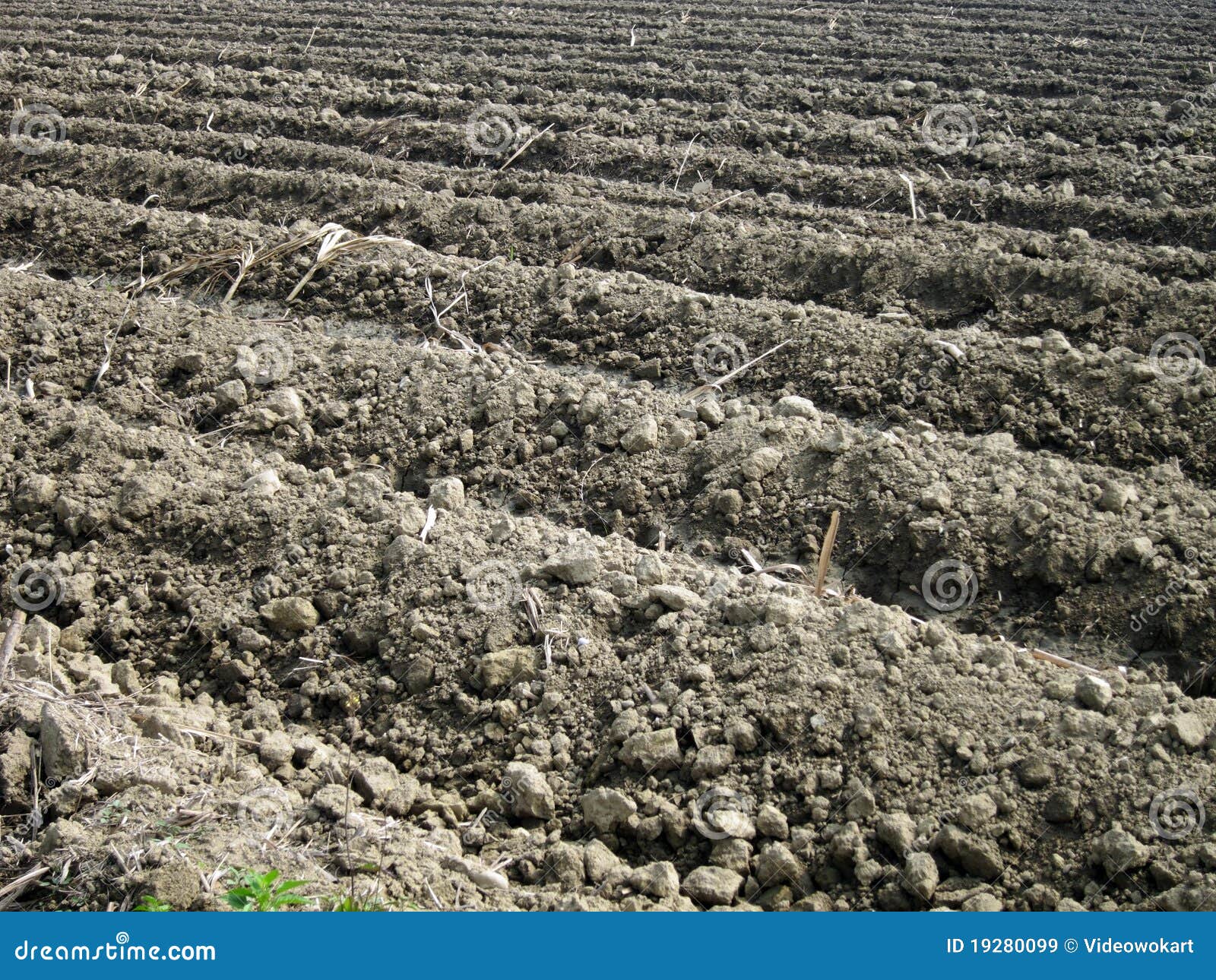 Soil stock image. Image of tracks, earth, plant, agriculture - 19280099