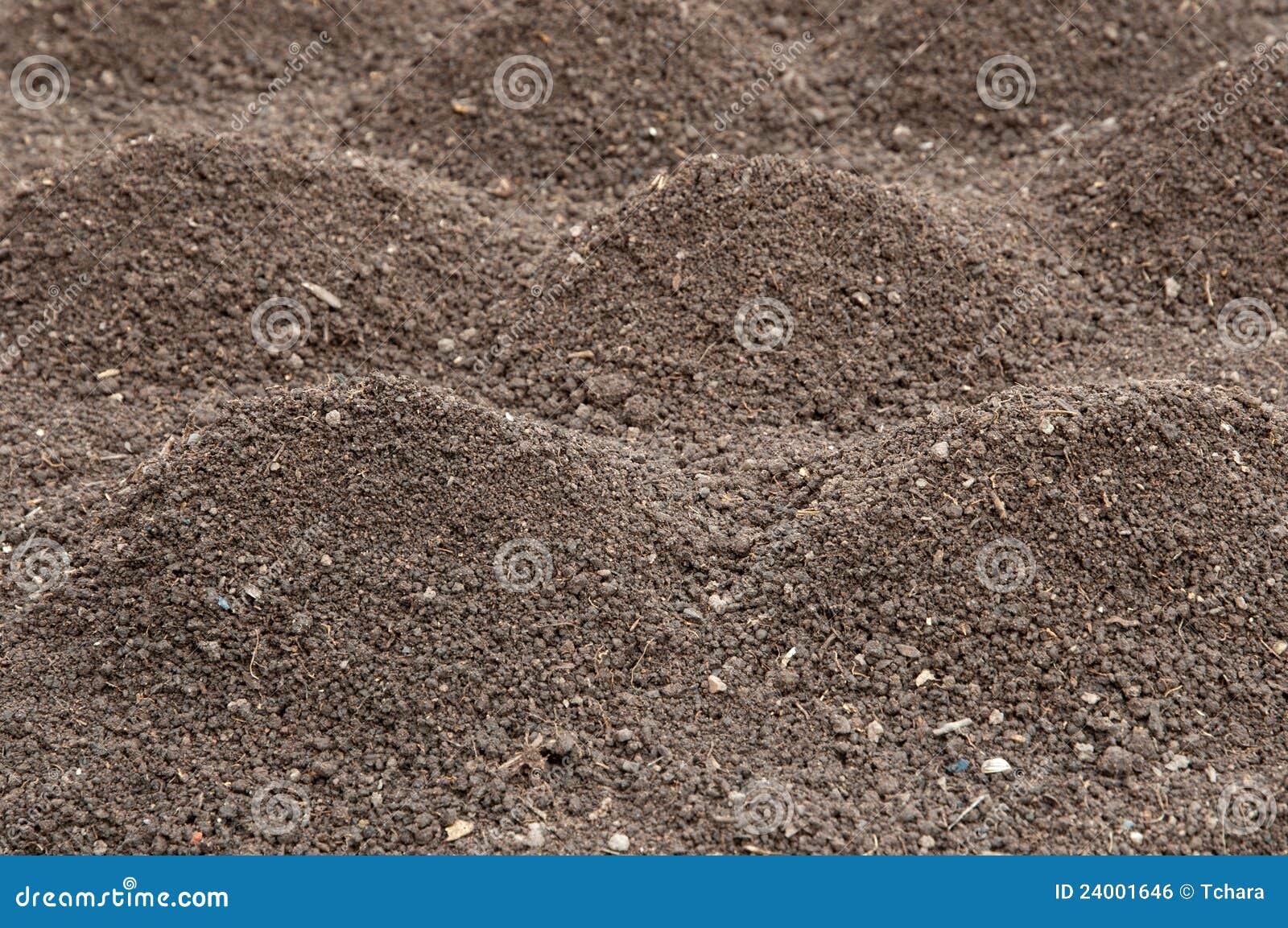 Soil stock photo. Image of climate, background, environment - 24001646