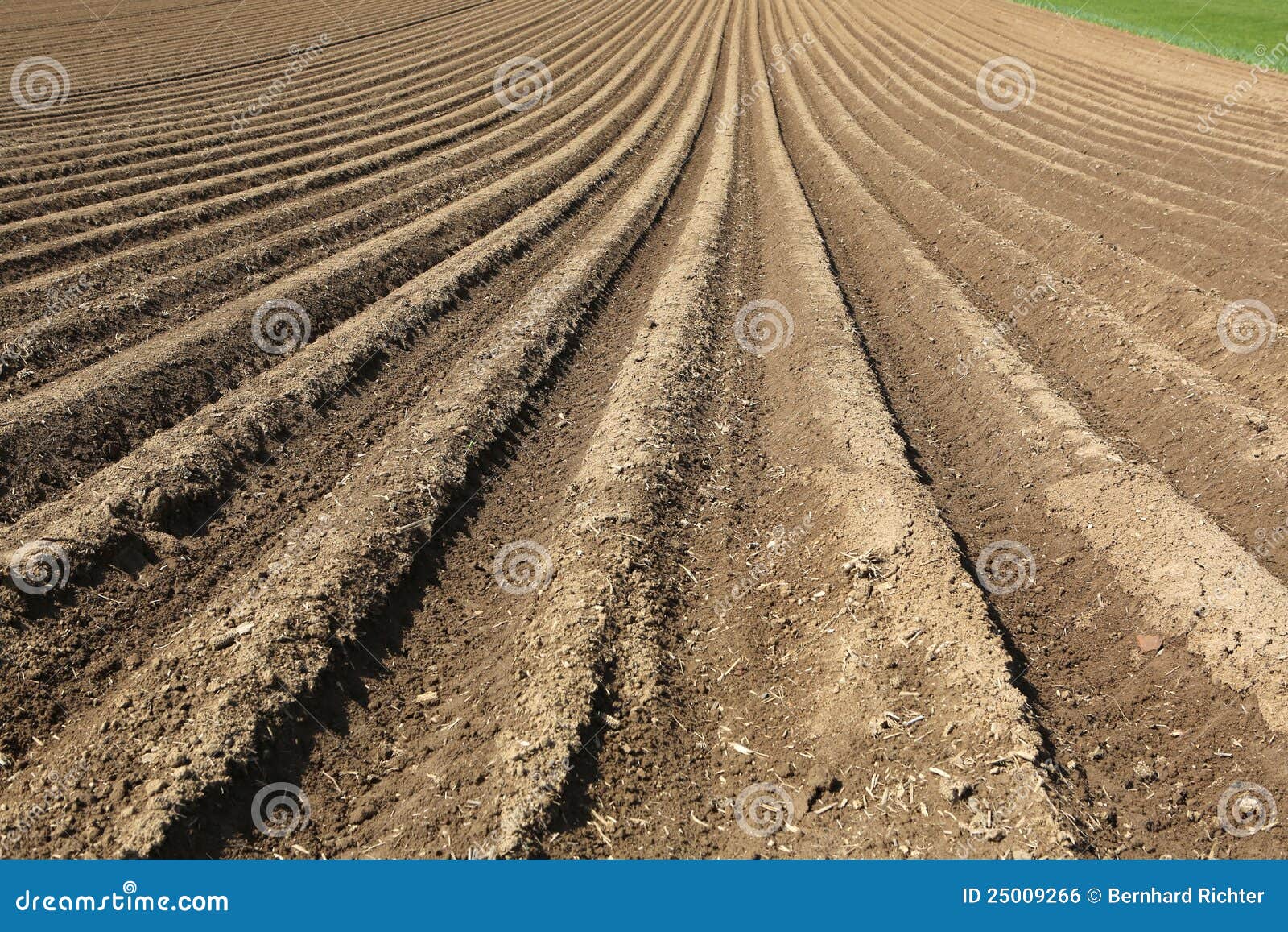 Soil stock photo. Image of rows, agricultural, rural - 25009266