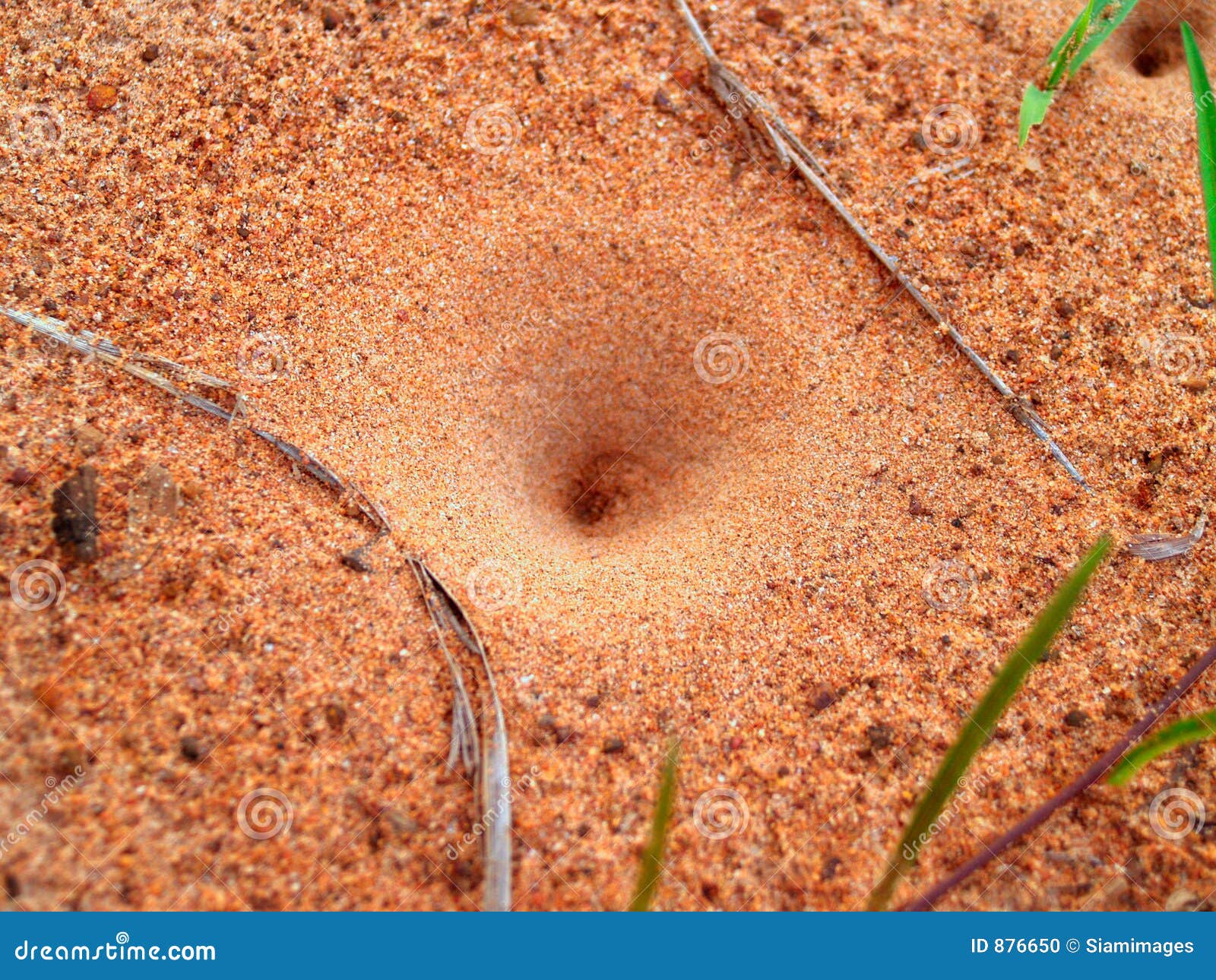 Soil stock photo. Image of clump, fertilizer, soil, growing - 876650