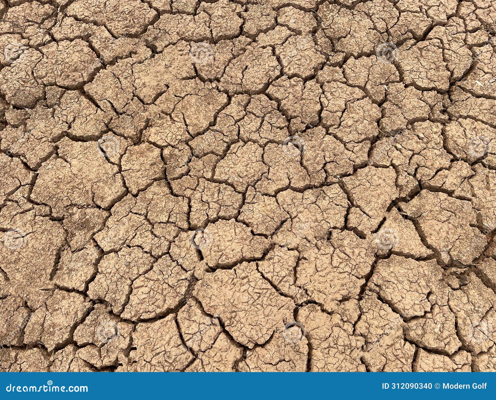 Soil Arid Texture Isolated on White Background . Stock Photo - Image of ...