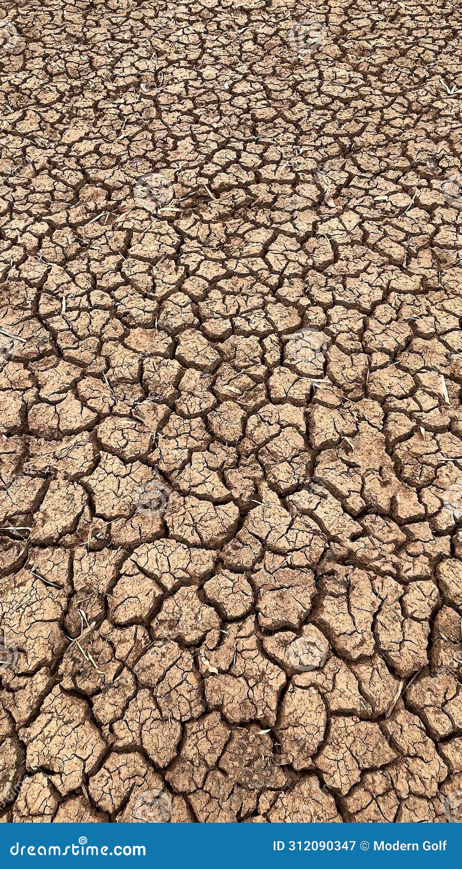 Soil Arid Texture Isolated on White Background . Stock Image - Image of ...