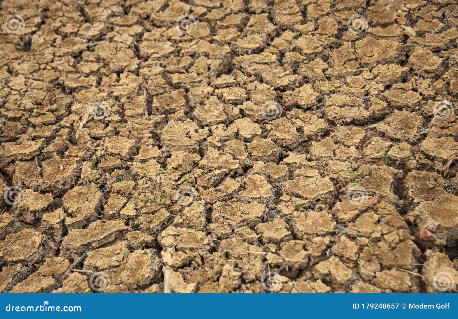 Soil Arid Texture . Background , Environmental Stock Image - Image of ...