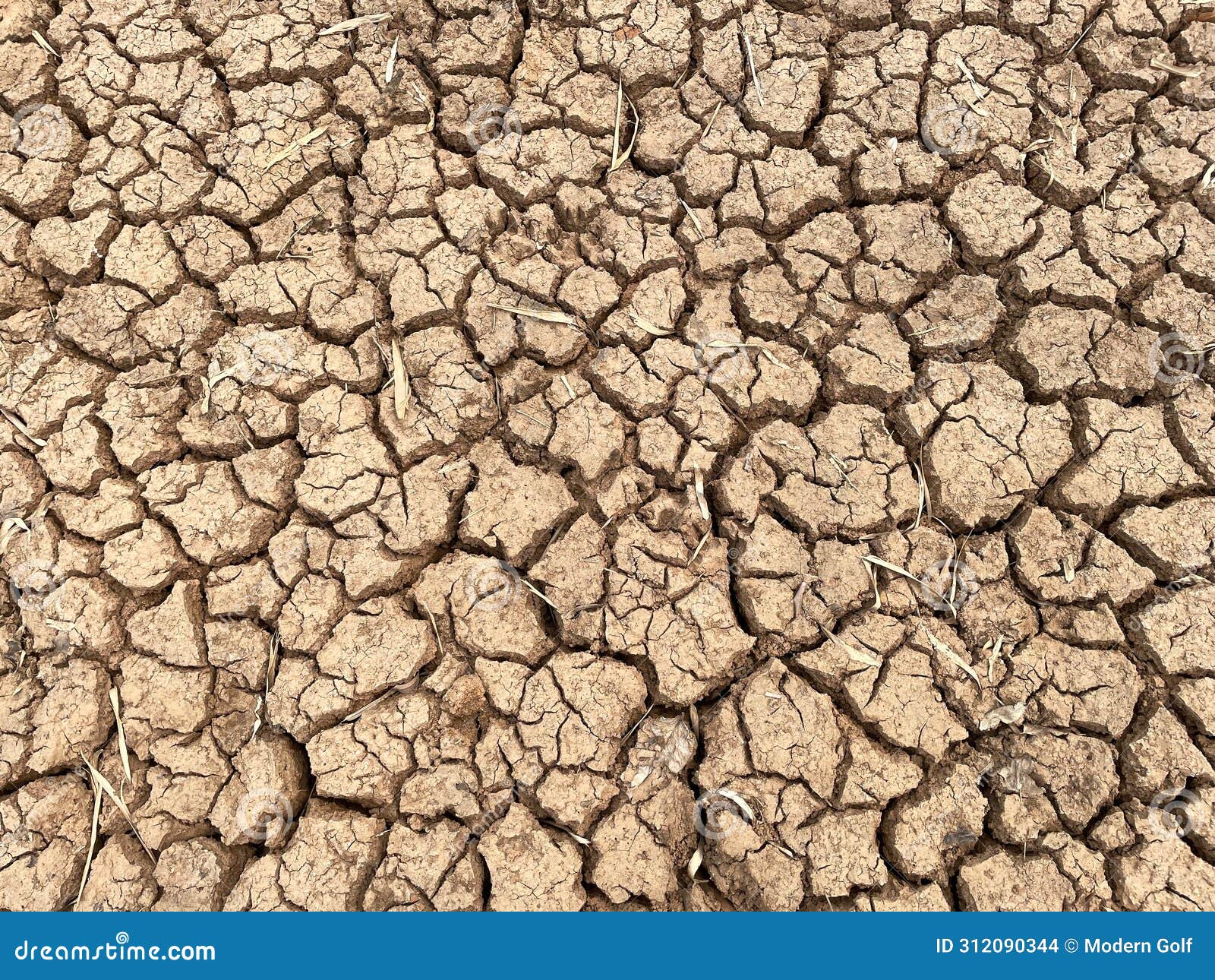 Soil Arid Texture Isolated on White Background . Stock Photo - Image of ...