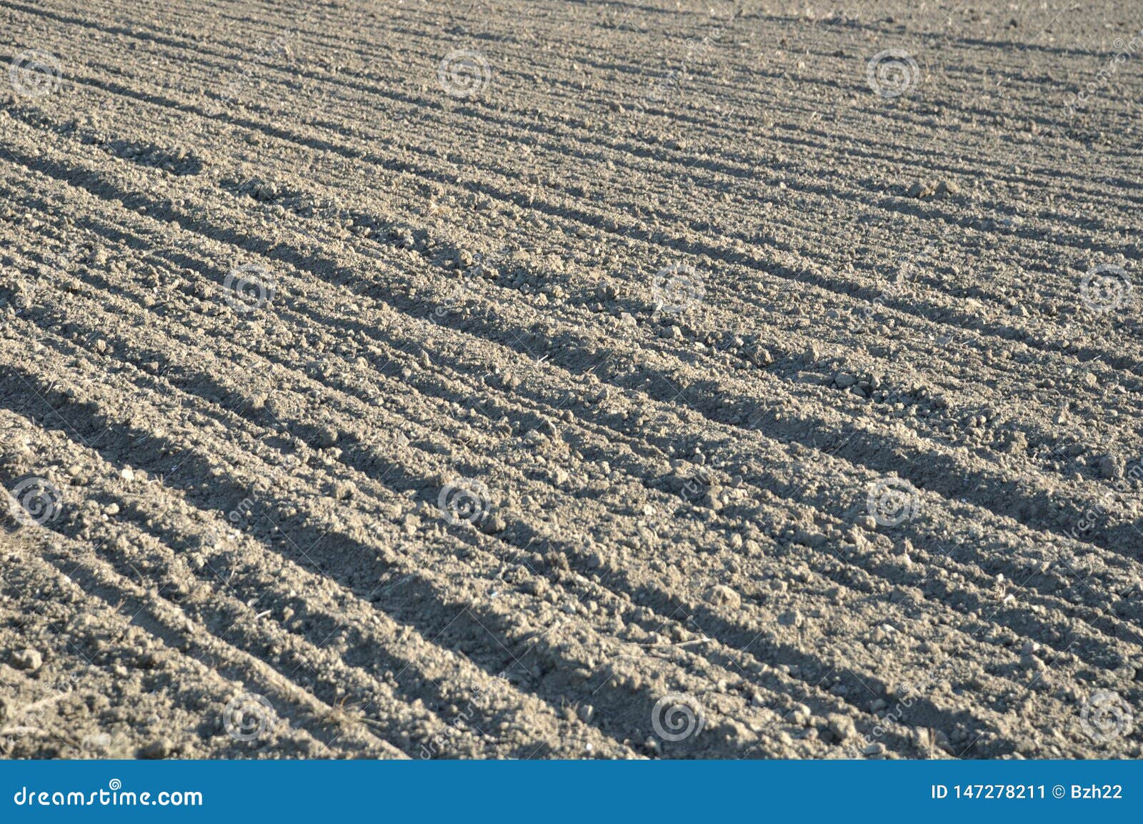 Soil background stock image. Image of ground, field - 147278211