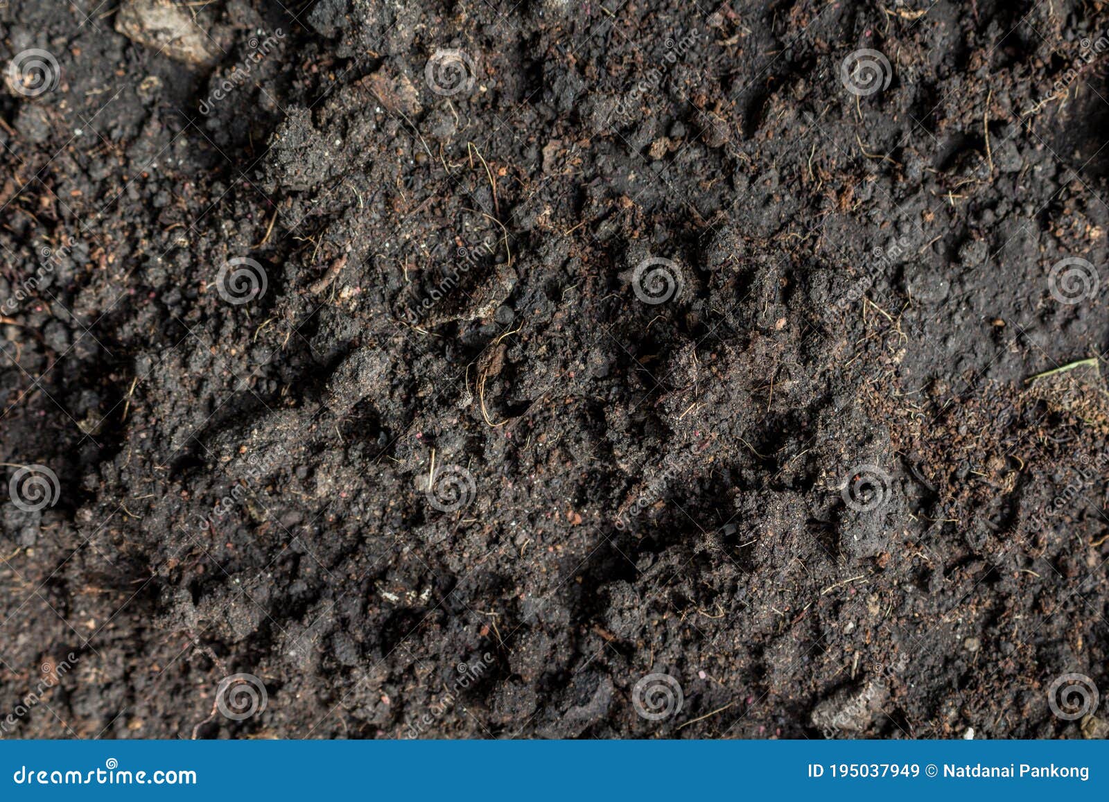 Soil background stock image. Image of natural, closeup - 195037949