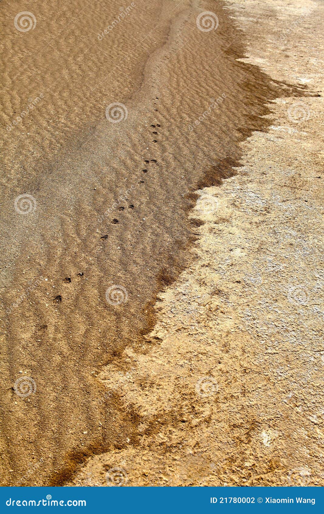Soil background stock photo. Image of nature, color, life - 21780002