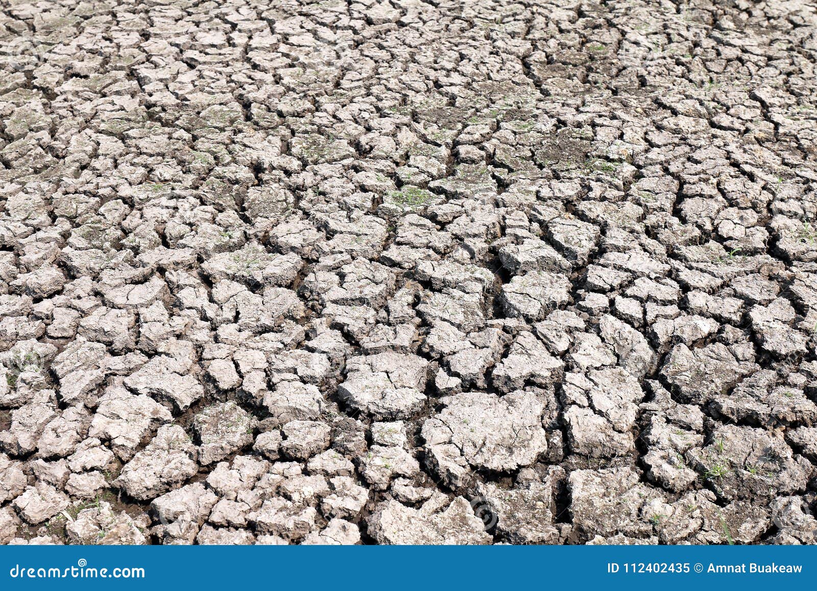 Soil Background, Cracks Soil Texture For Background Selective Focus ...