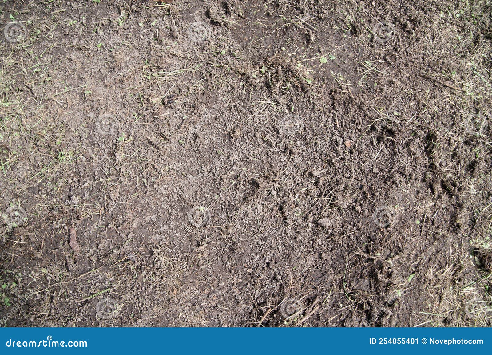 Soil Background. Natural Texture of the Earth. Abstract Surface for ...