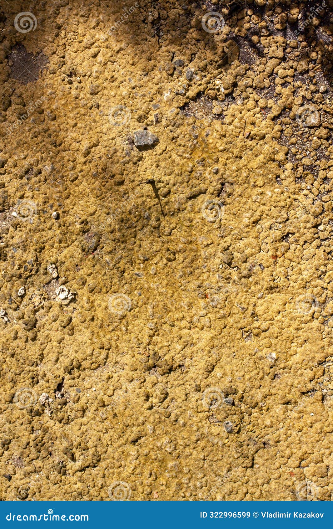 Soil Background with Pebbles and Dried Silt. Vertical Stock Image ...