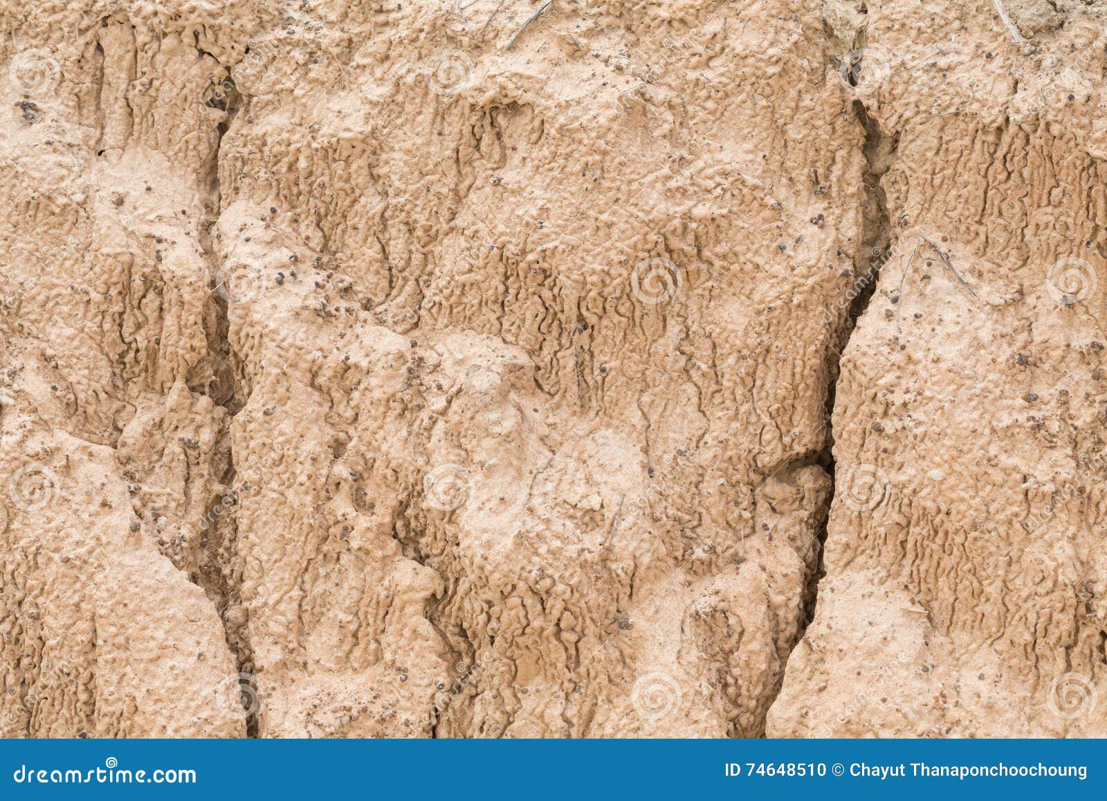 stock photo. Image of texture, heat, land, close, dust - 74648510