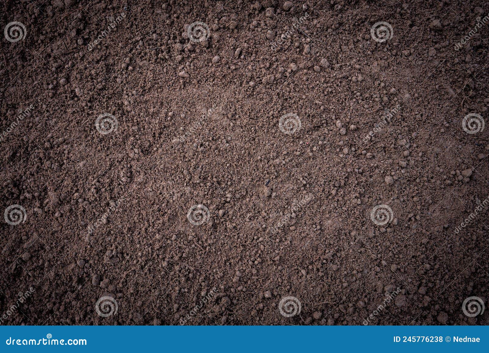 Soil Texture and Background,top View Stock Photo - Image of ...
