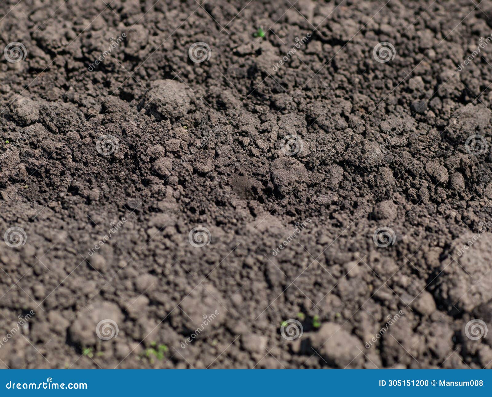 Soil Background Texture. Top View of the Ground Stock Photo - Image of ...