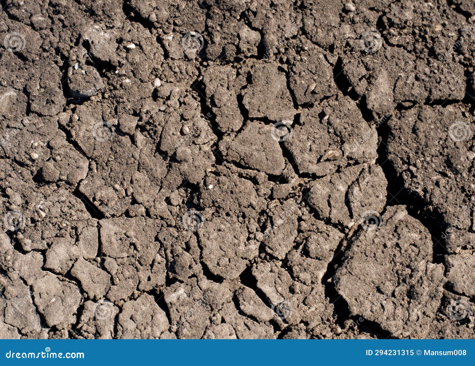 Soil background, top view stock image. Image of gardening - 294231315