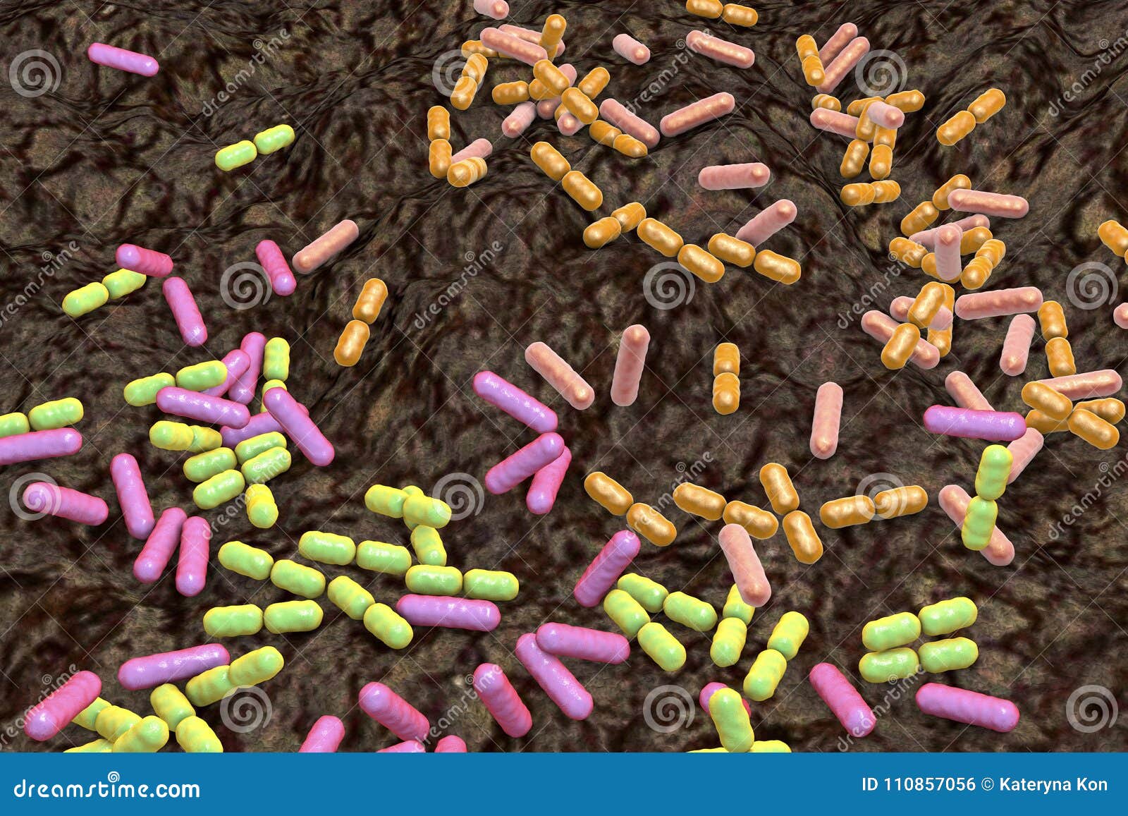 Soil Bacteria Of Different Species Royalty-Free Illustration ...