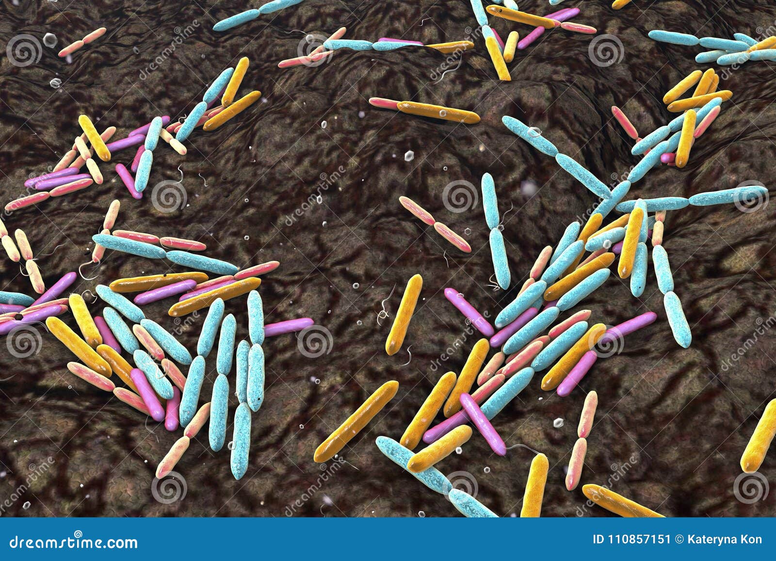 Soil Bacteria of Different Species Stock Illustration - Illustration of ...