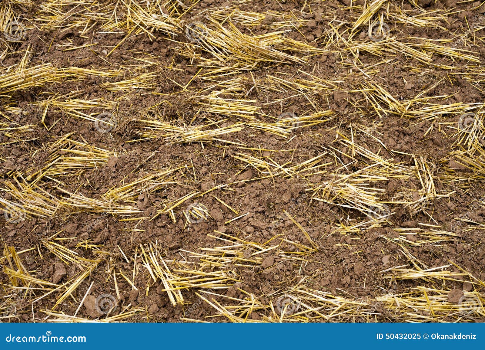 Soil in Barn stock image. Image of detail, agriculture - 50432025
