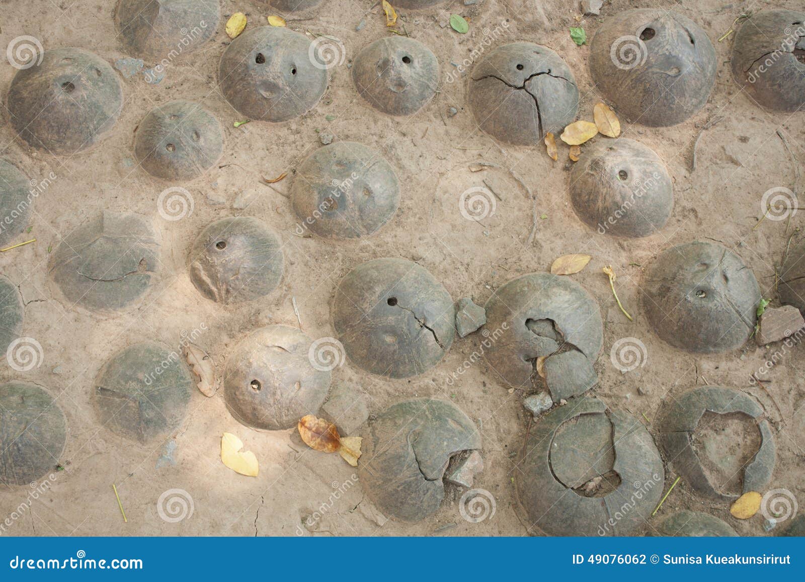 Soil Bckground with Coconut Shell Stock Photo - Image of drain, closeup ...