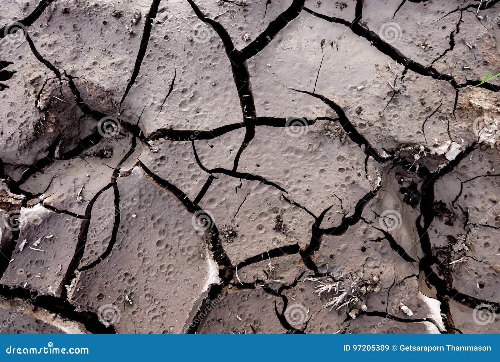Soil Close Up Texture Background Stock Image - Image of organic, humus ...