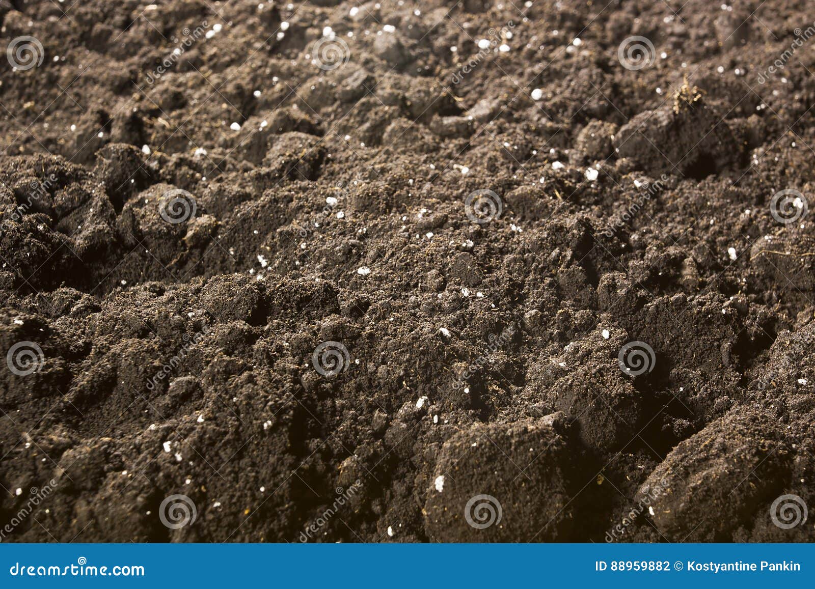 Soil closeup top view stock photo. Image of nature, ecology - 88959882