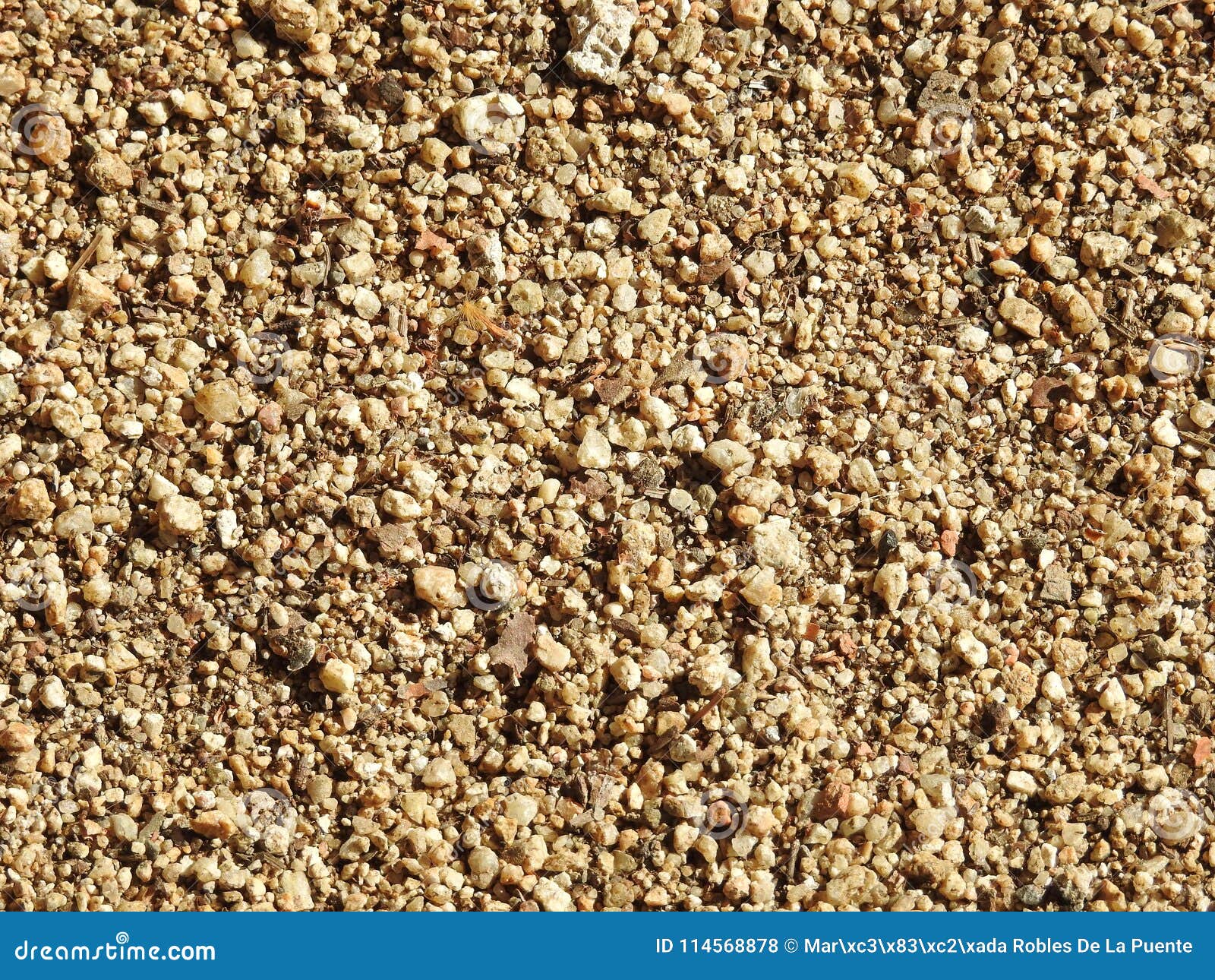 Pebbles in the Sand on the Ground Stock Photo - Image of small ...