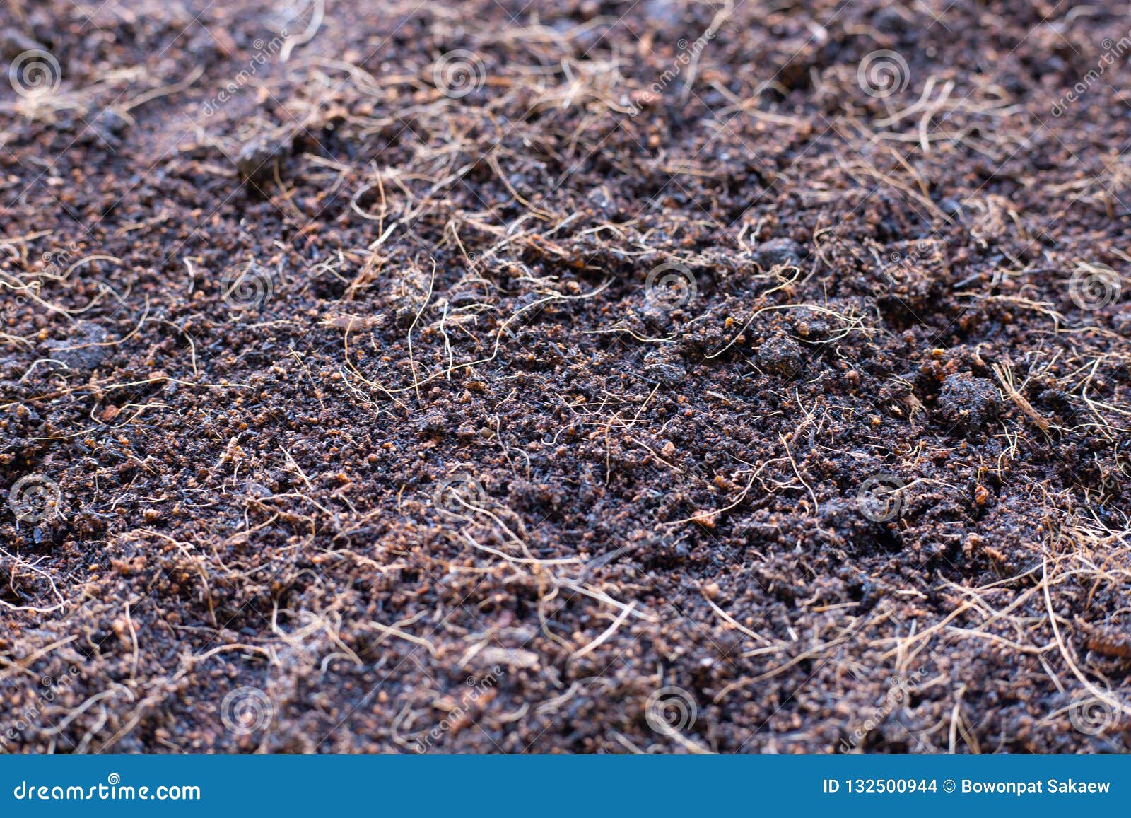 Soil with Coconut Shell`s Hair Stock Photo - Image of agriculture ...