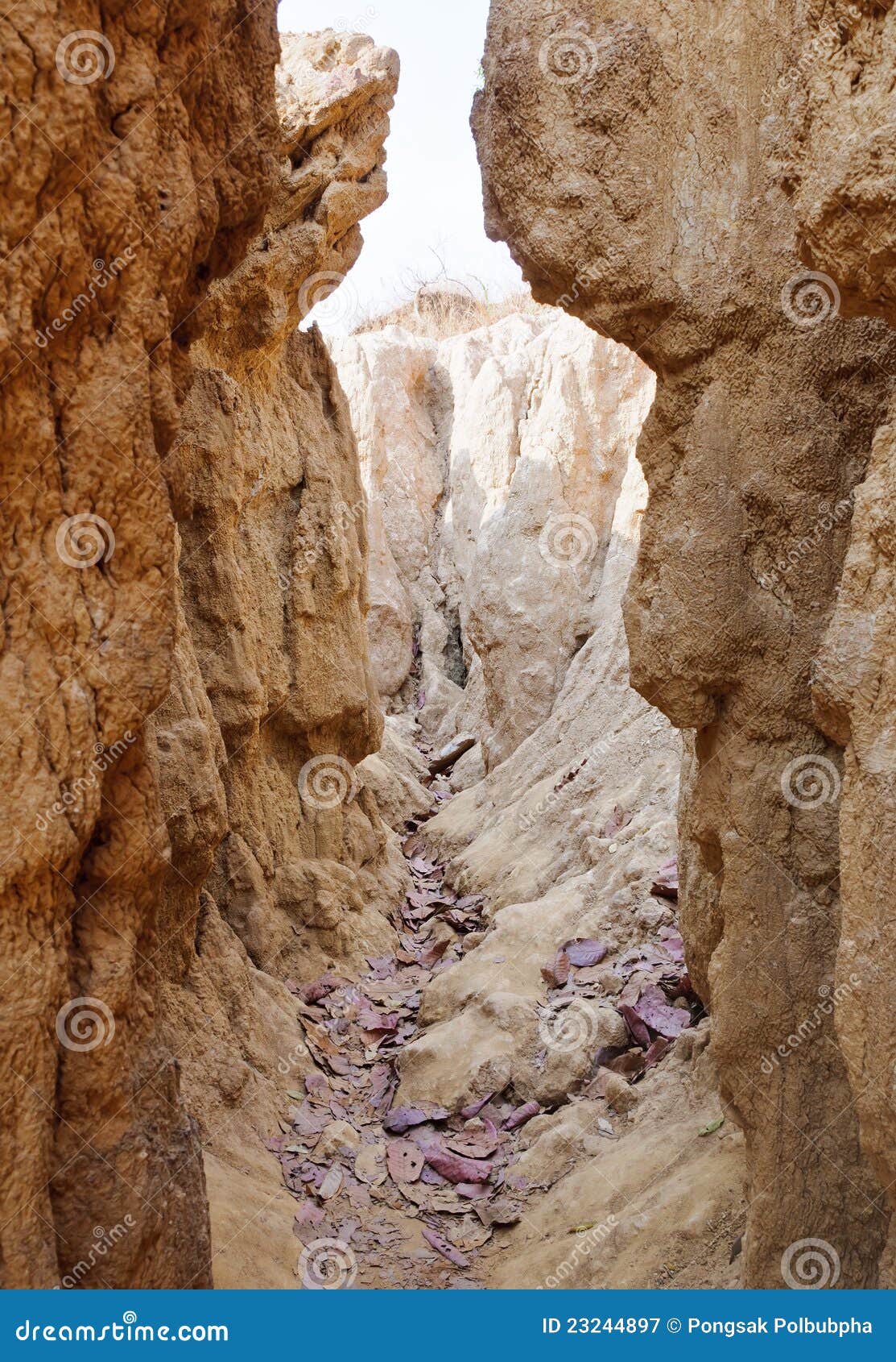 Soil columns stock image. Image of column, geological - 23244897