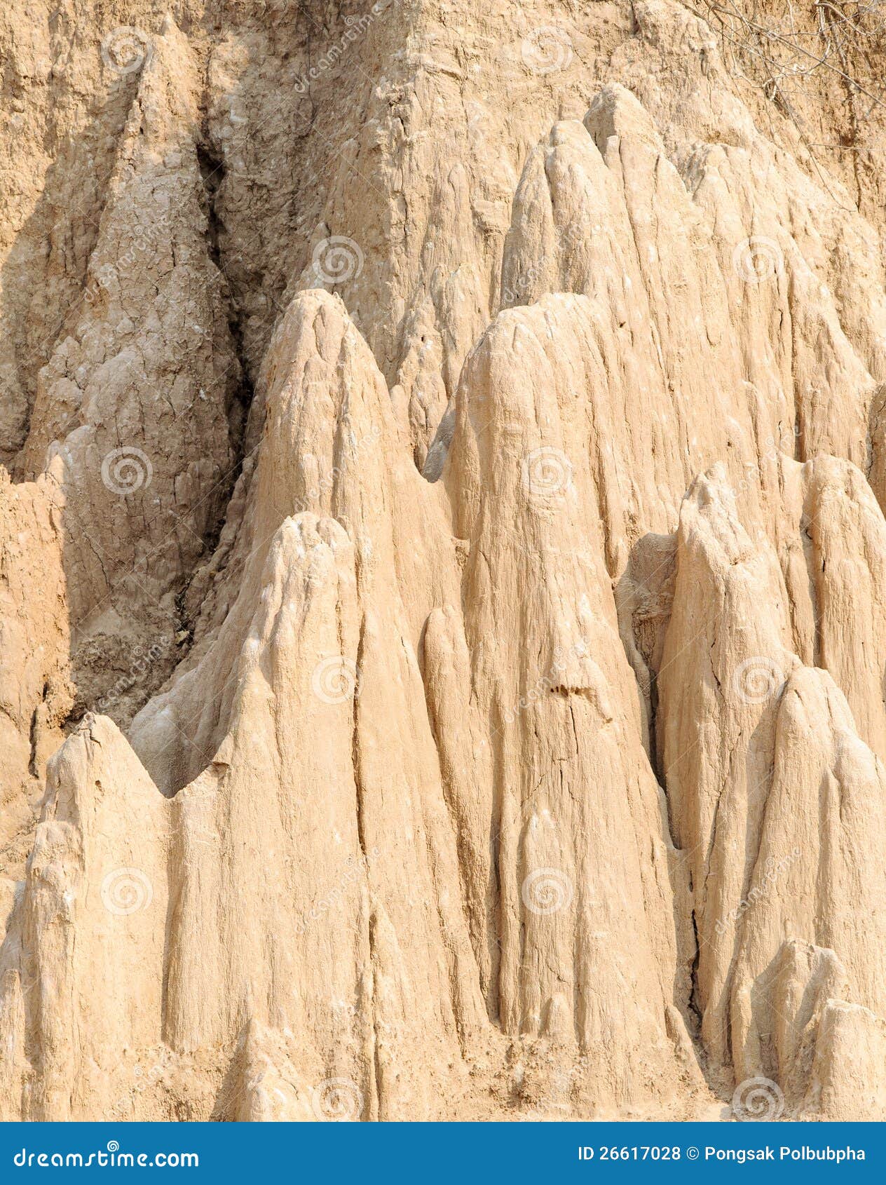 Soil columns stock photo. Image of rock, conservation - 26617028