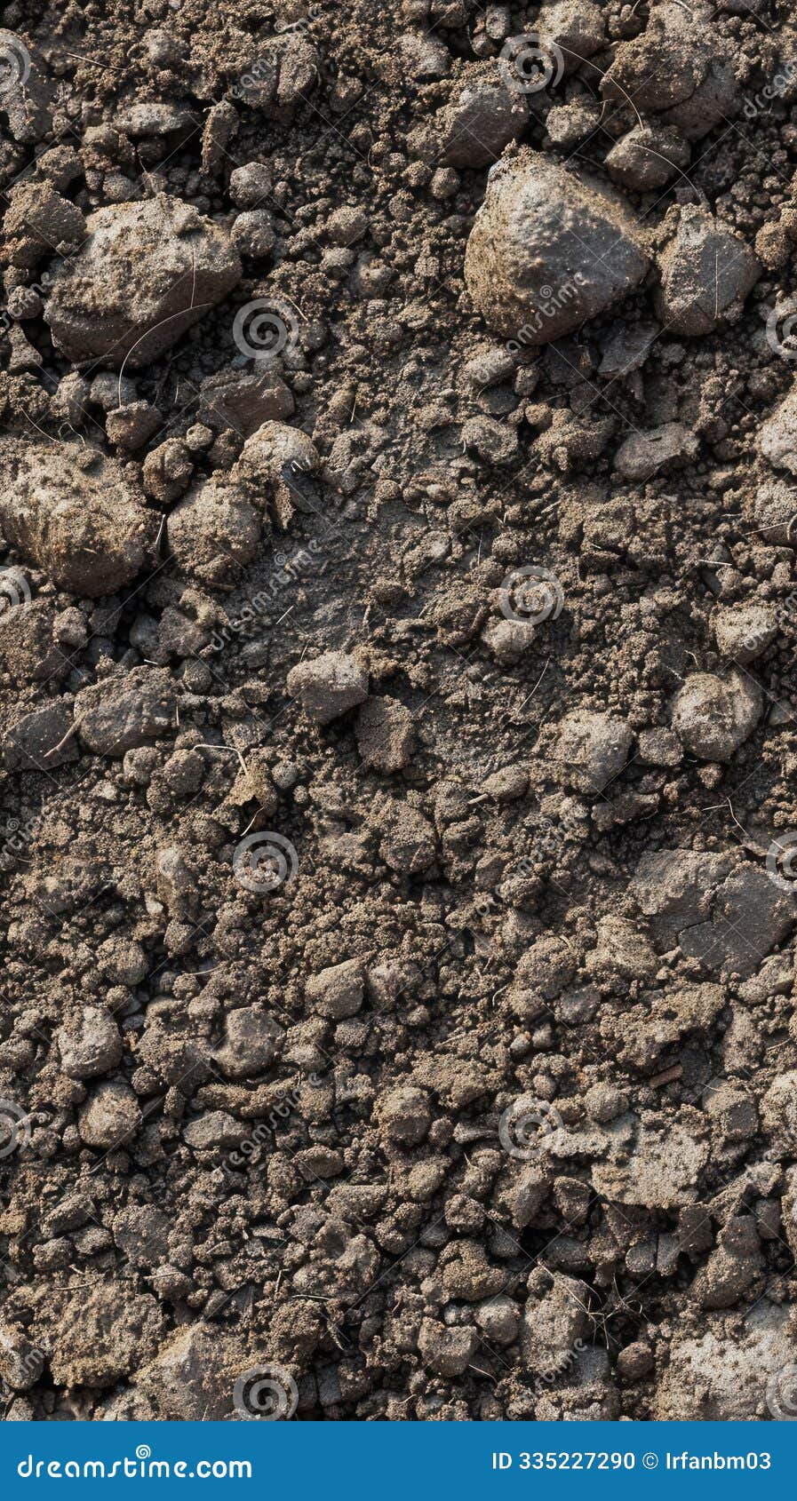 Soil Compaction. Compacted, Dense, and Poorly Aerated Soil Texture ...