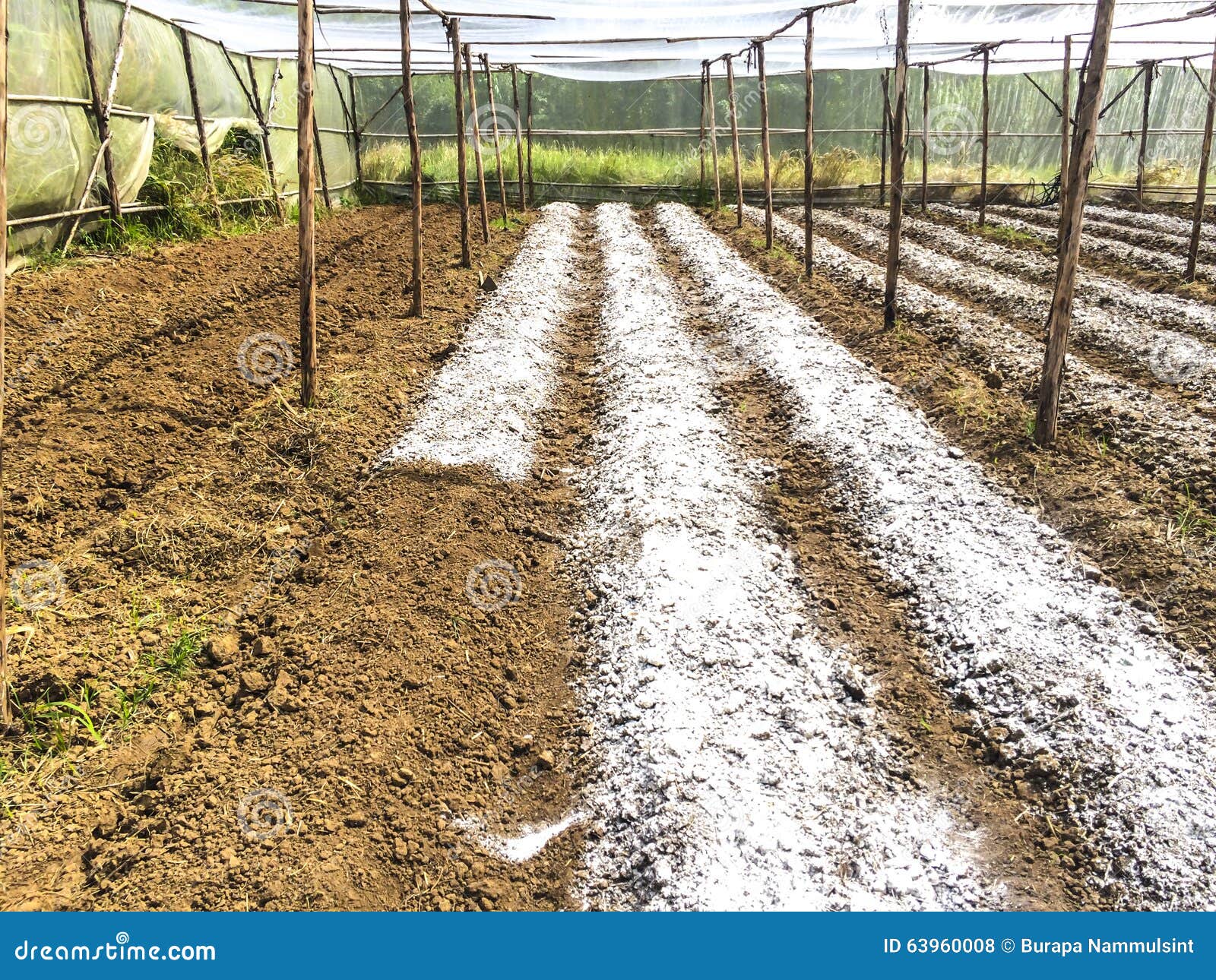 Soil conditioning stock photo. Image of brown, agriculture - 63960008