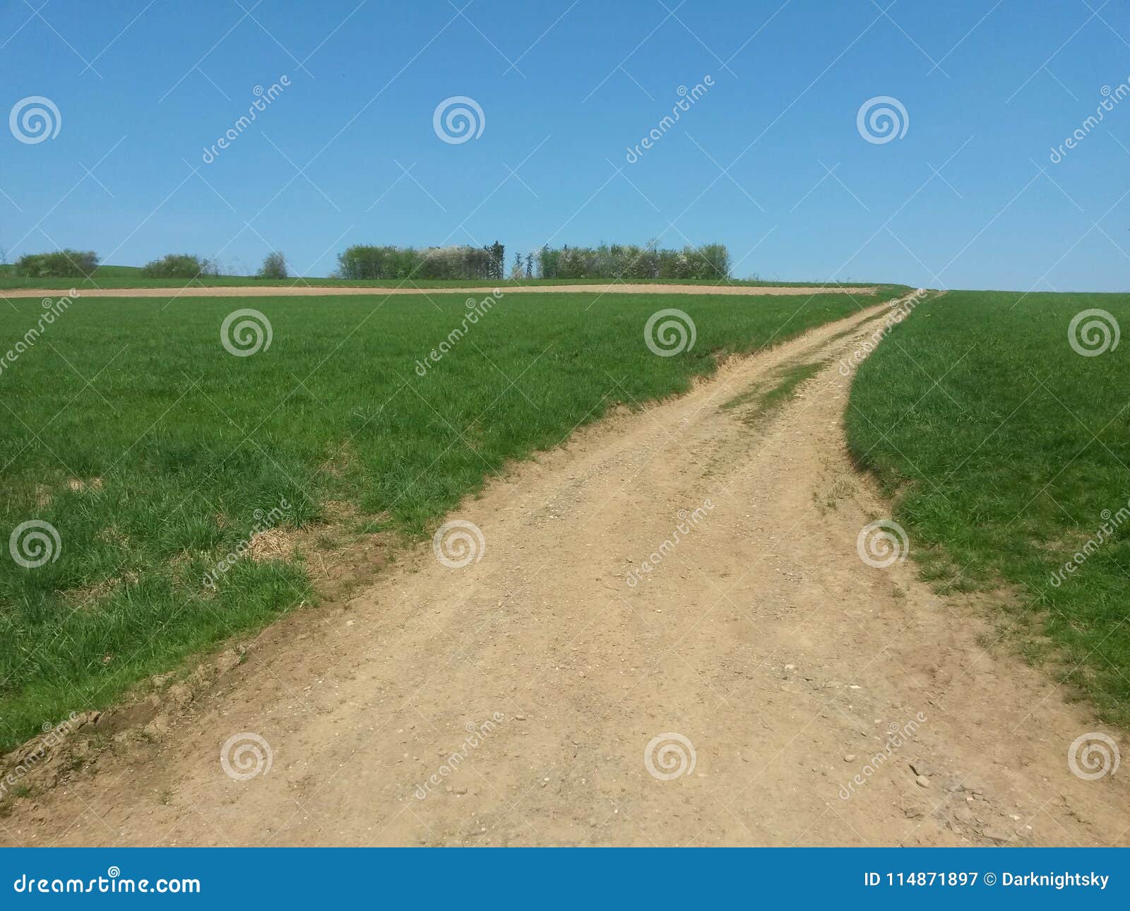 Soil Covered Path Inside Meadows Stock Image - Image of green, bright ...