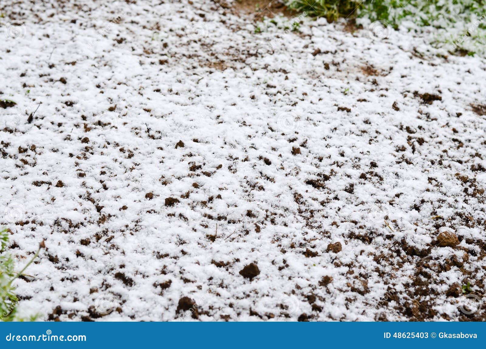 Soil covered with snow stock image. Image of close, garden - 48625403