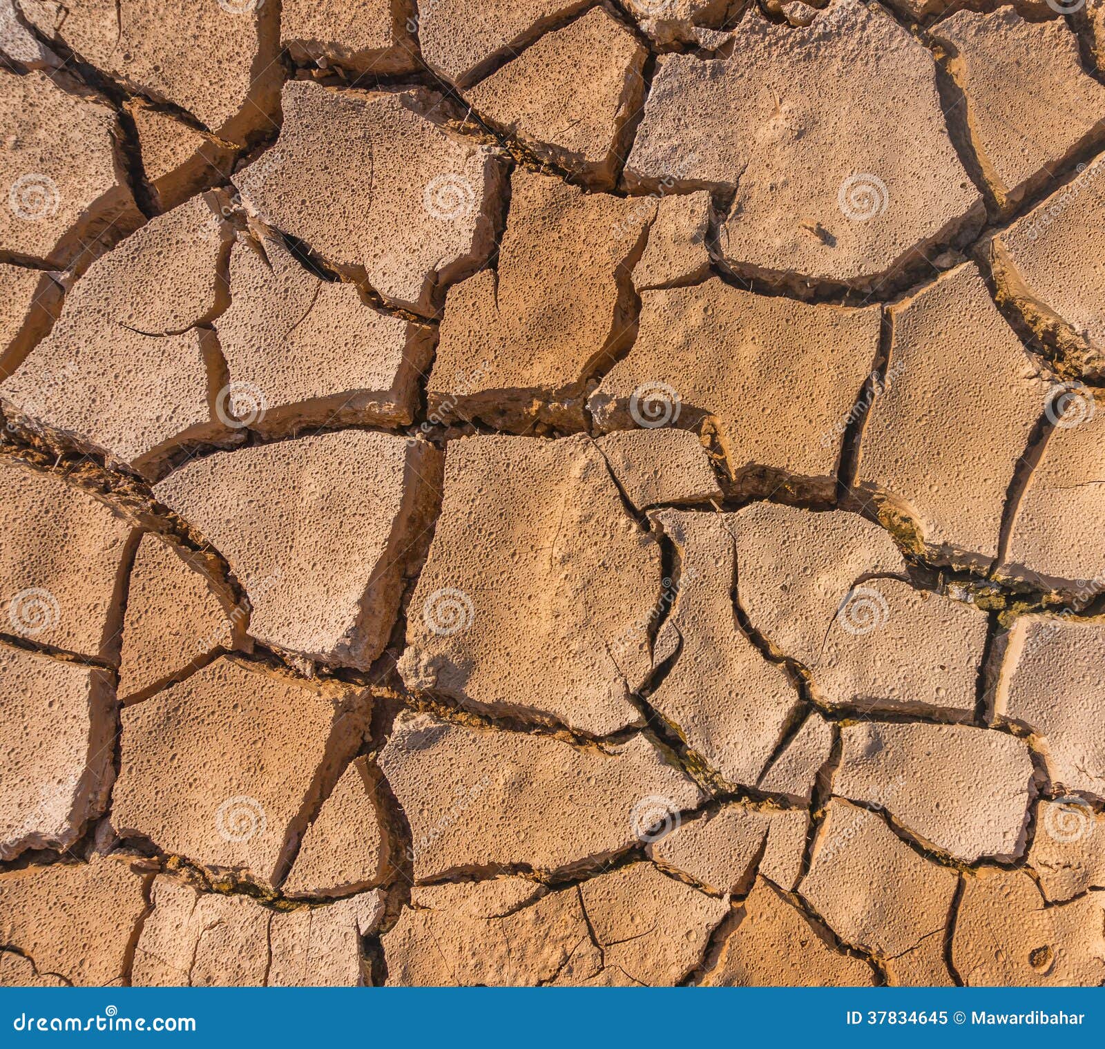 Soil crack stock image. Image of detail, heat, dirt, disaster - 37834645