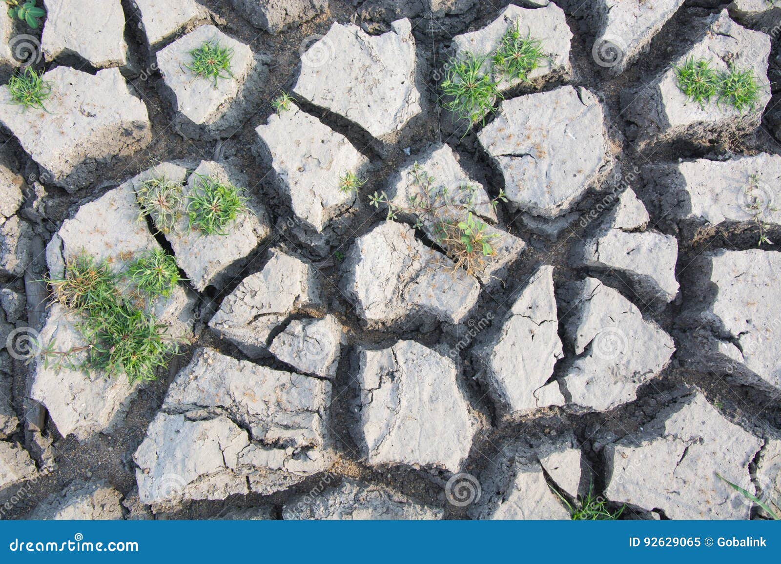 Soil crack stock image. Image of nature, soil, split - 92629065