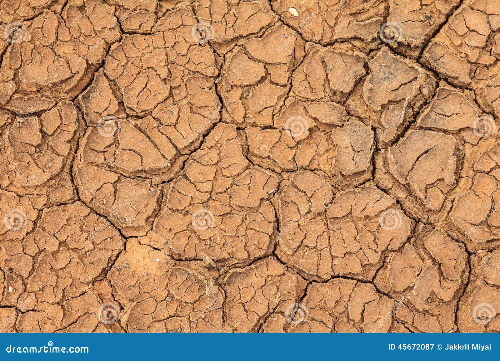 Soil crack stock image. Image of environmental, outdoor - 45672087