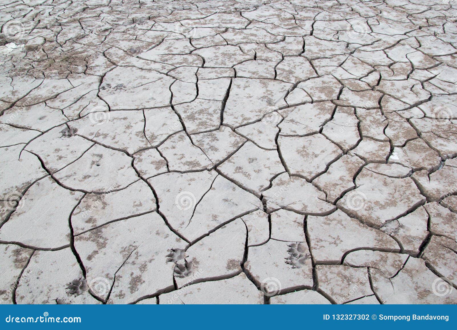 Crack pattern stock photo. Image of landscape, dirt - 132327302