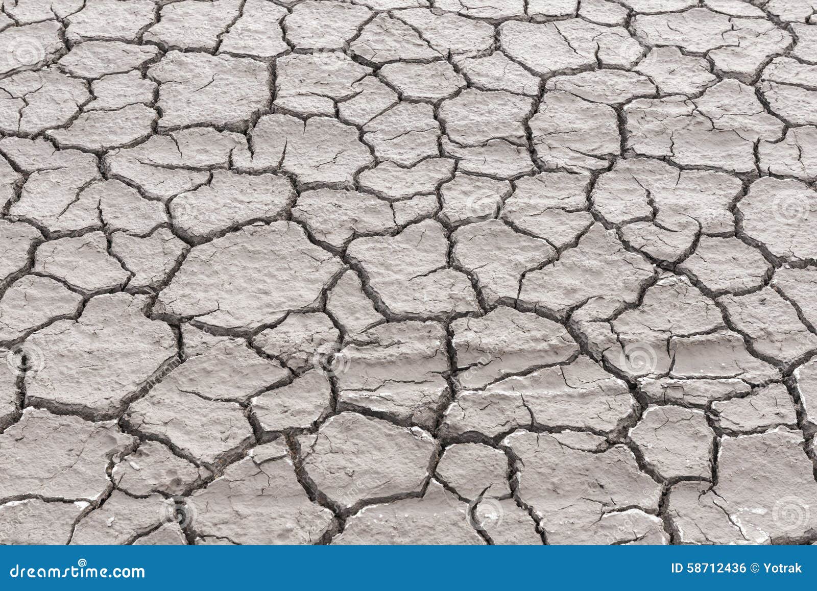 Soil crack stock photo. Image of dusk, brake, nature - 58712436