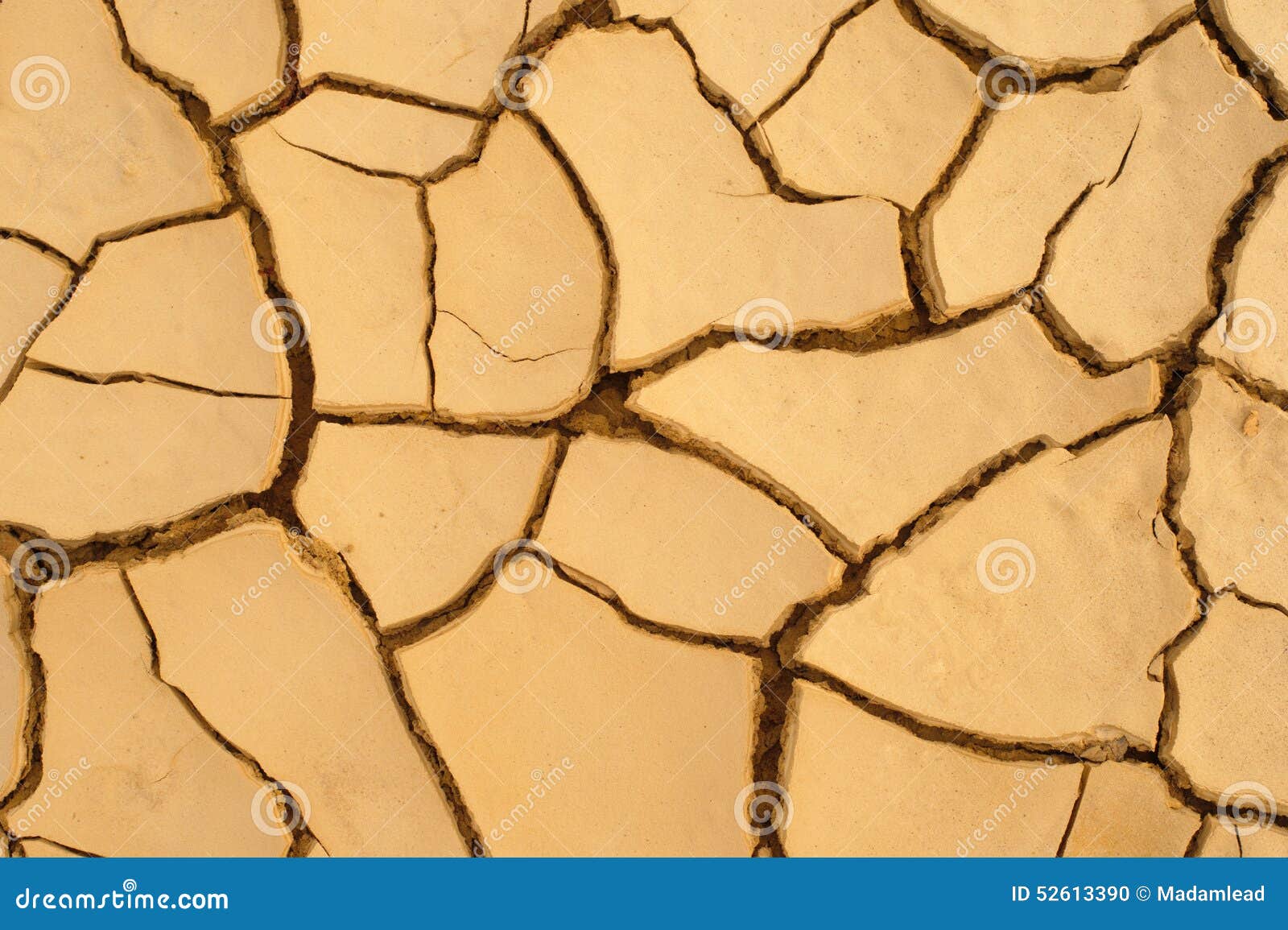Soil crack texture stock photo. Image of abstract, warming - 52613390